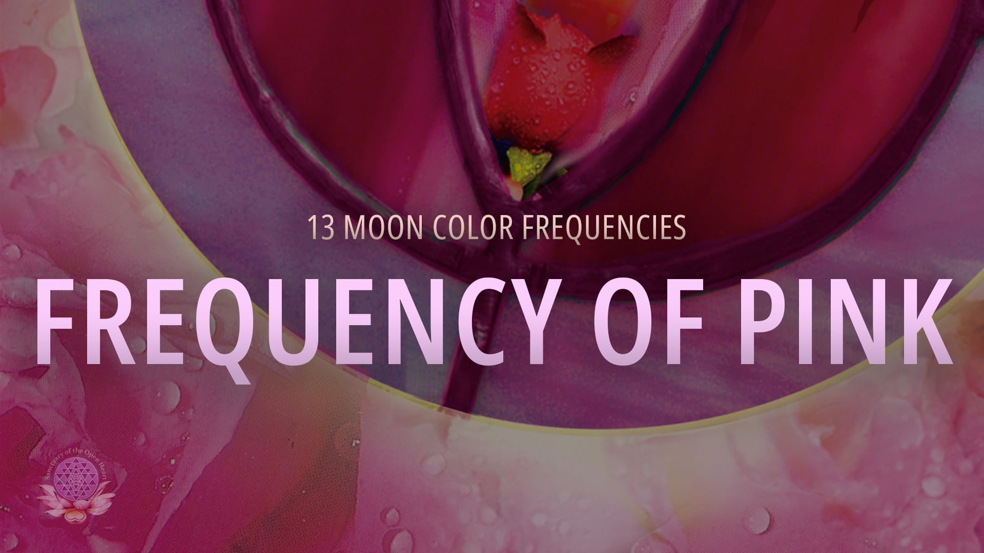 Frequency of Pink – Sanctuary of the 13 Moon Mystery School